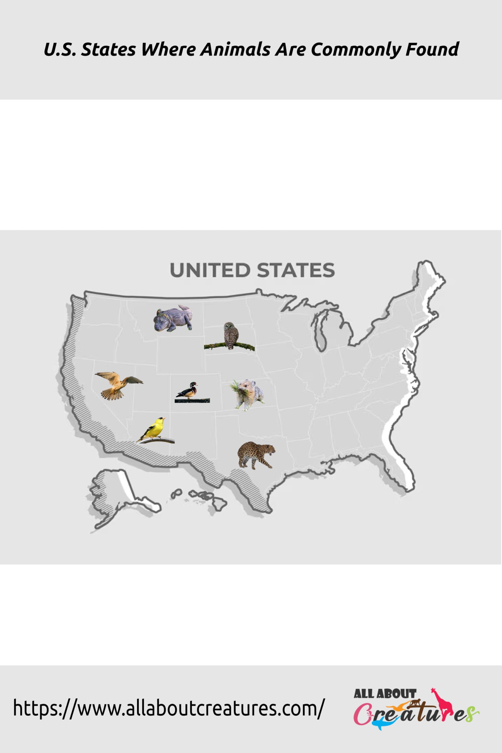 Animals Found Across All U.S. States